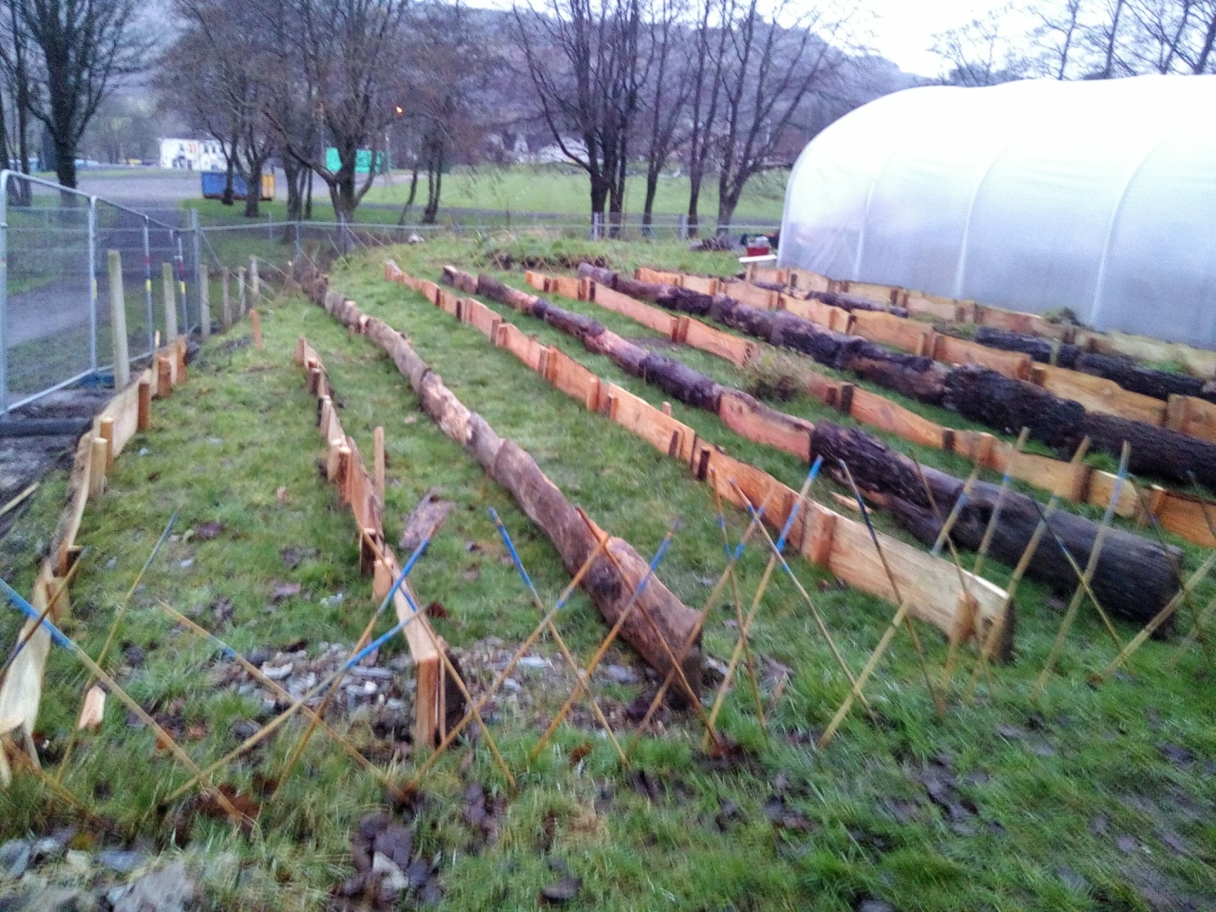 The Grow Food Project – Grow Food Grow Dunoon